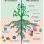 Biofertilizer: An Ultimate Solution for the Sustainable Development of ...
